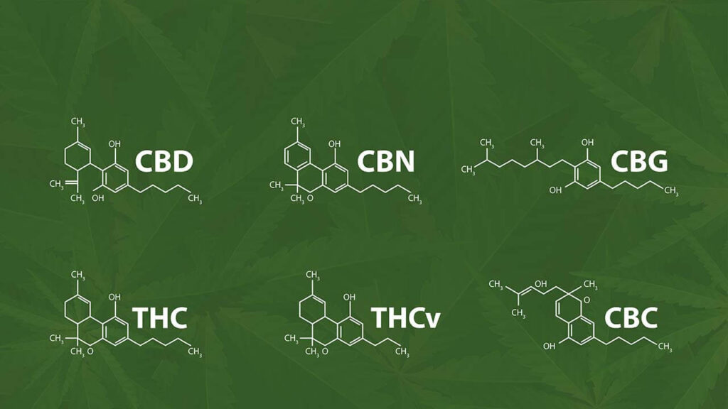 Explaining Cannabinoids | LAPPA